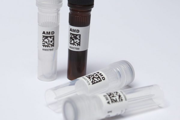Home - Advanced Molecular Diagnostics (AMD)