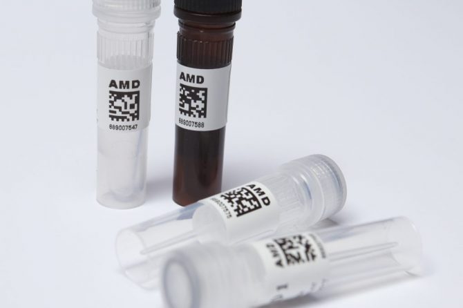 Home - Advanced Molecular Diagnostics (AMD)